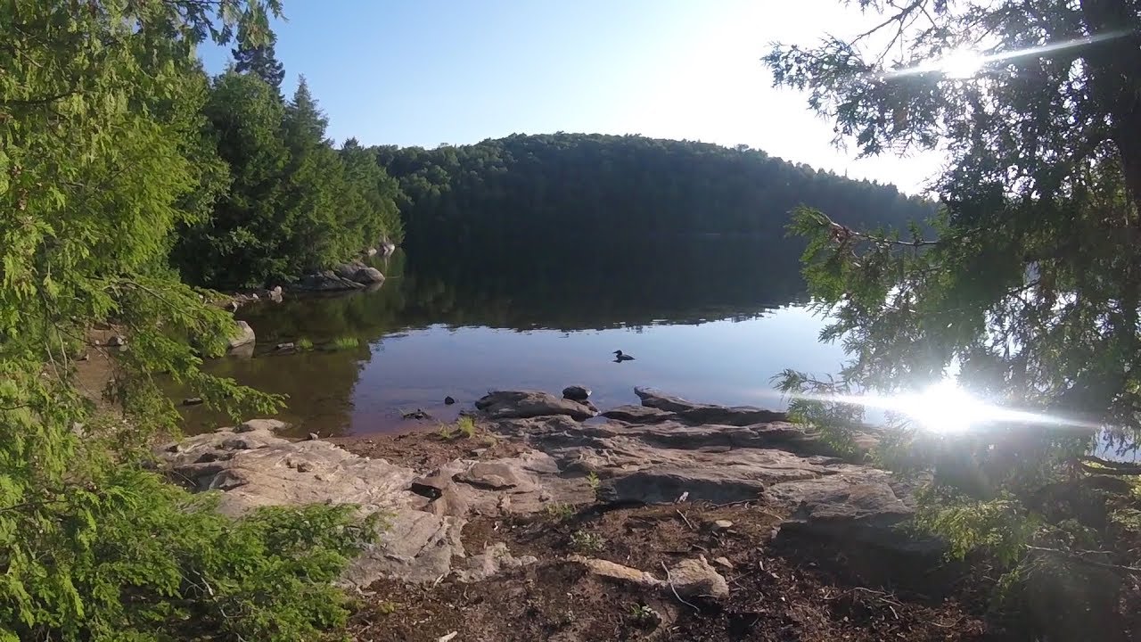 Réservoir Poisson Blanc - Juillet 2018 - YouTube