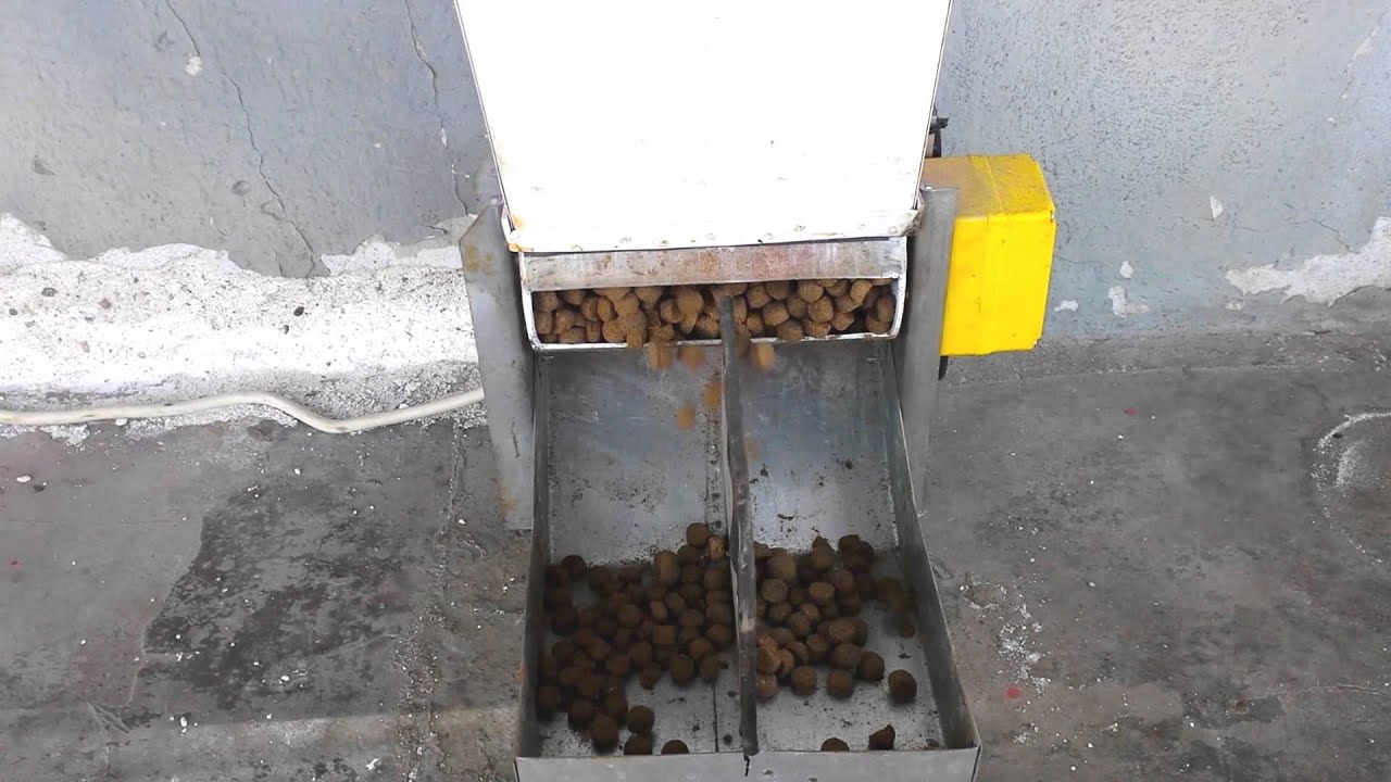αυτοματη ταιστρα σκυλου//auto feeder for dogs - YouTube
