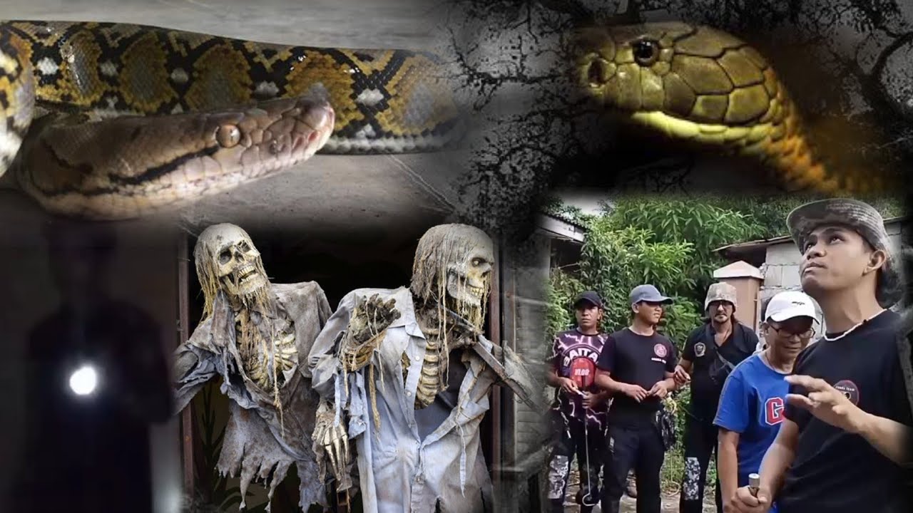 SHOW MUST GO ON SA MALA HUNTED HOUSE NA BAHAY #cobraprince - YouTube