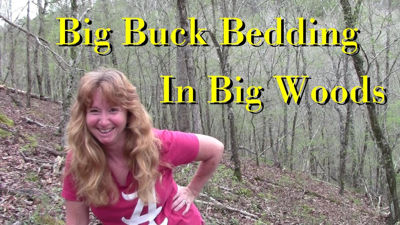 188 / Big Buck Bedding In Big Woods. (ALABAMA) - YouTube