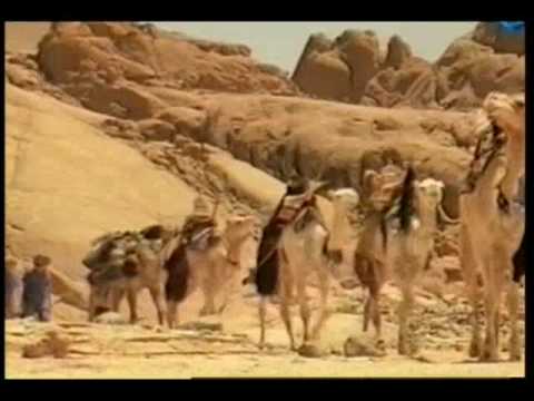 Devenin yaratılışı