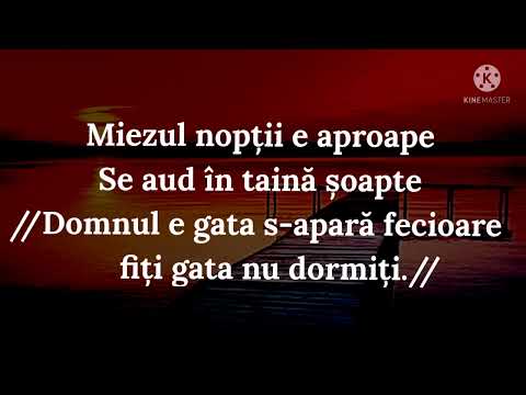 NEGATIV MEZUL NOPTI E APROAPE
