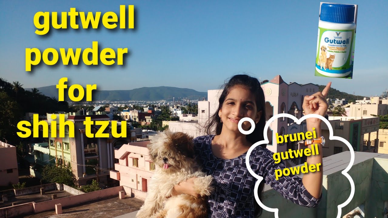 Shih tzu puupy gutwell powder/🐕 - YouTube