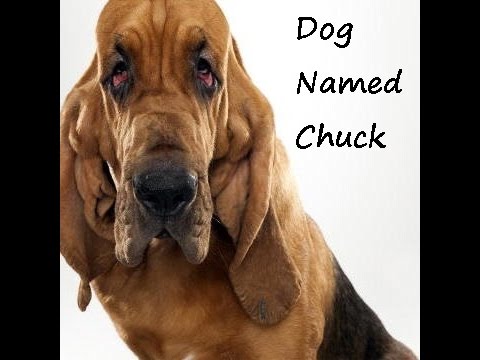 Dog Named Chuck - Fishin' Musician - YouTube