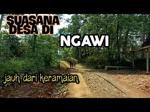 suasana desa daerah ngawi nyaman adem jauh dari keramaian