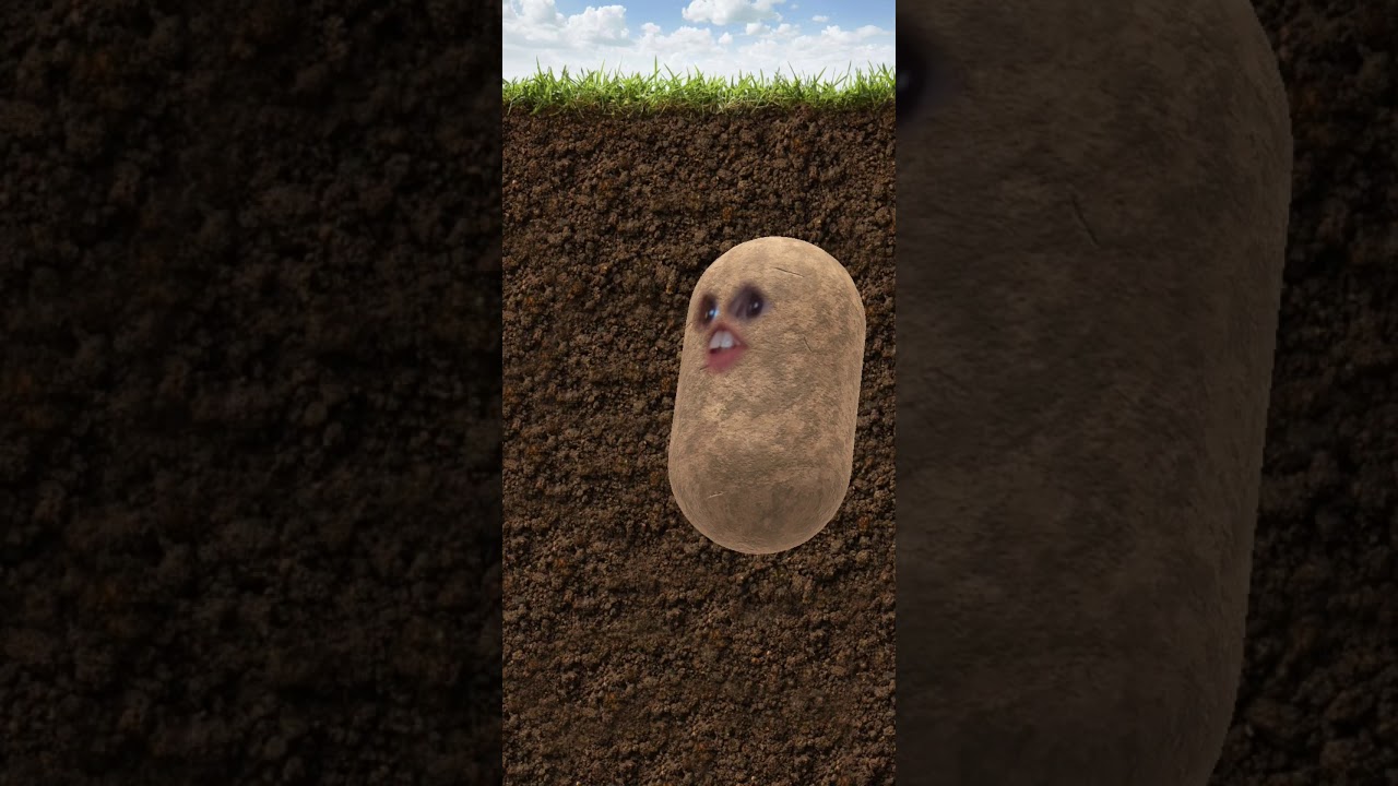 More potatoes-snapchat filter - YouTube