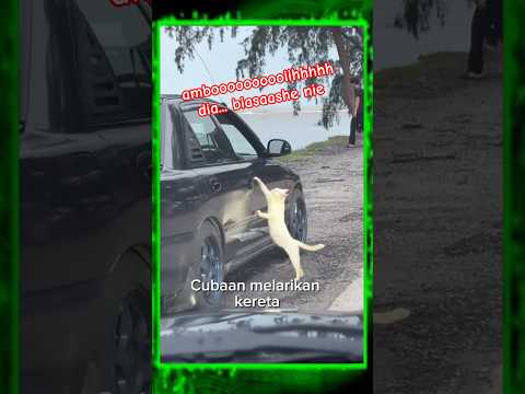 ini mst pgaruh rakan sbaya si oyen tu kn.. ansk no. 2.. 🤭 haishhhh kmu ni