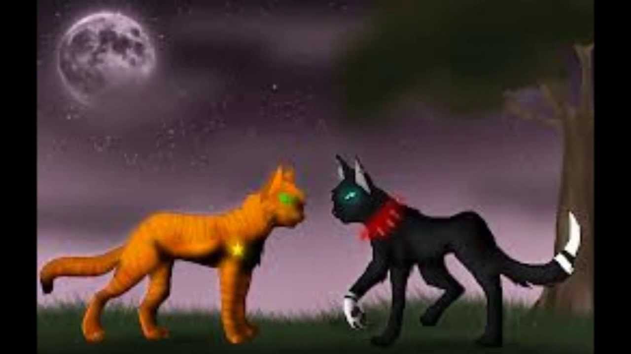 Firestar And Scourge Half Brothers