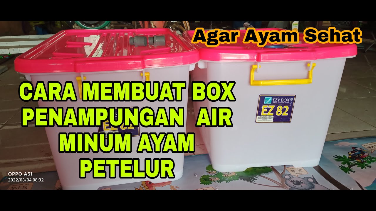 Cara Membuat BOX Penampungan Air Minum Ayam Petelur - YouTube