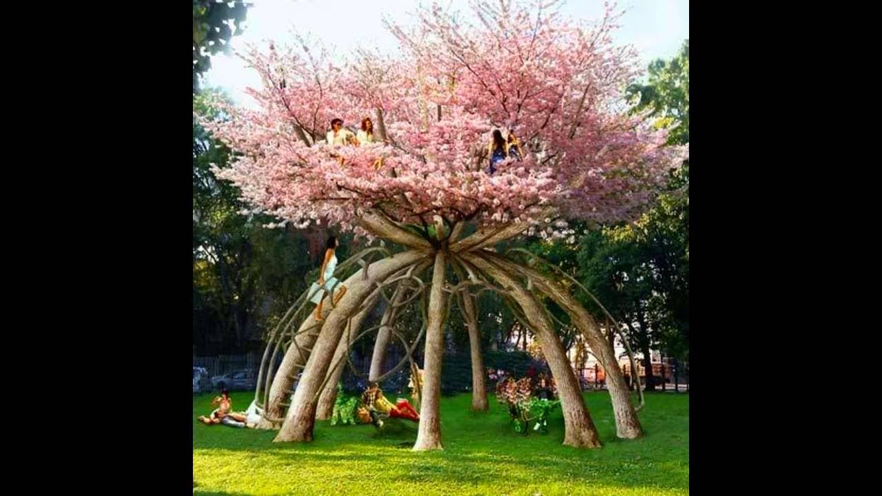 strange trees around the world - YouTube