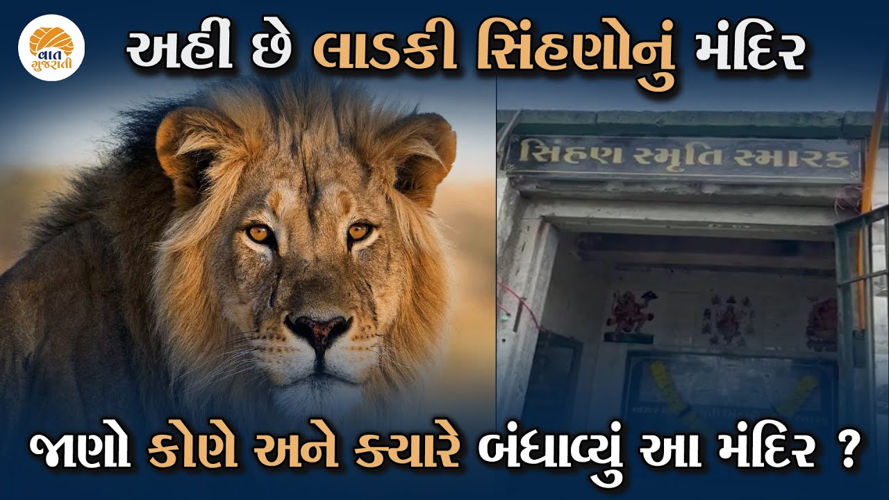 વિશ્વનું એક માત્ર સિંહ મંદિર જ્યાં લોકો માનતા પુરી કરવા આવે છે | World ...