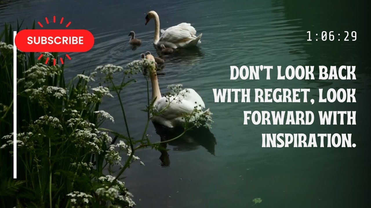 Don't look back with regret, look forward with inspiration WH - YouTube