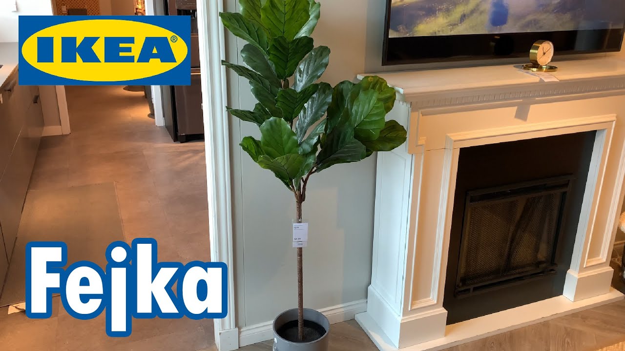 IKEA Fejka Artificial Plant - YouTube