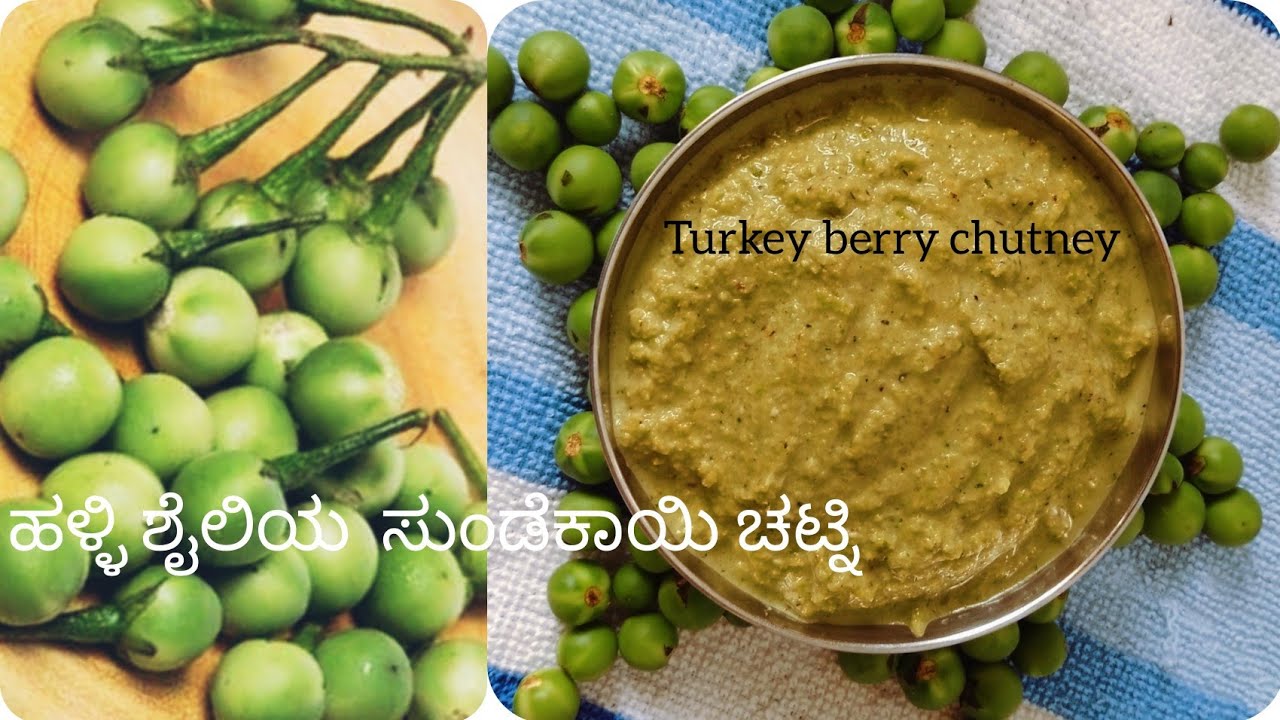 ಸುಂಡೆಕಾಯಿ ಚಟ್ನಿ/sundakkai recipes/ಉಸ್ತಿಕಾಯಿ ಚಟ್ನಿ/sundakkai chutney ...