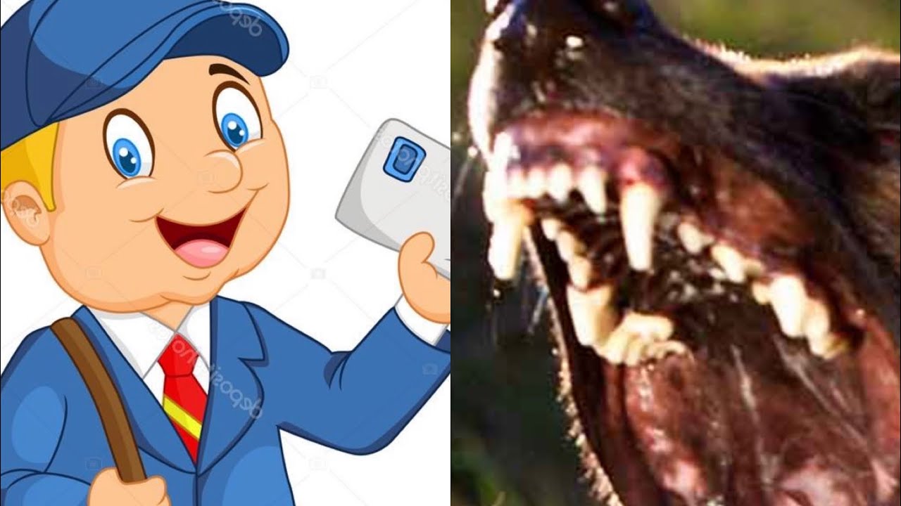 Dog Attacks On Mail Carriers - Why Awareness Campaigns Are Not The ...