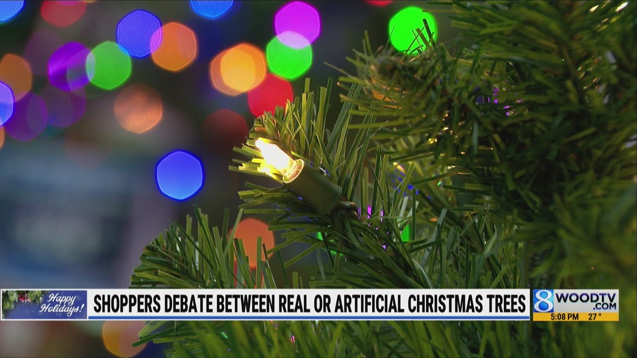 Shoppers debate between real or artificial Christmas trees - YouTube