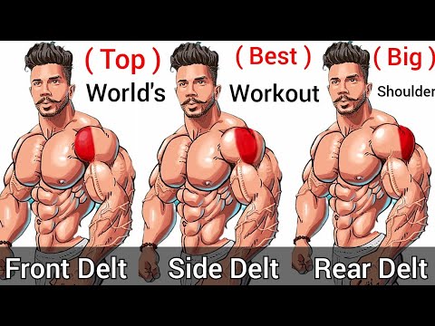 Top 3 Front Delt Side Delt and Rear Delt Workout Gym to Get Big ...