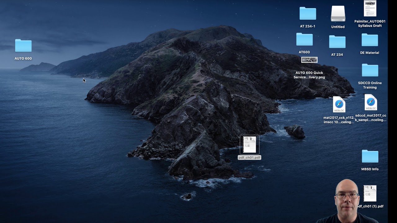 SDCCD Fillable Forms & Canvas - YouTube