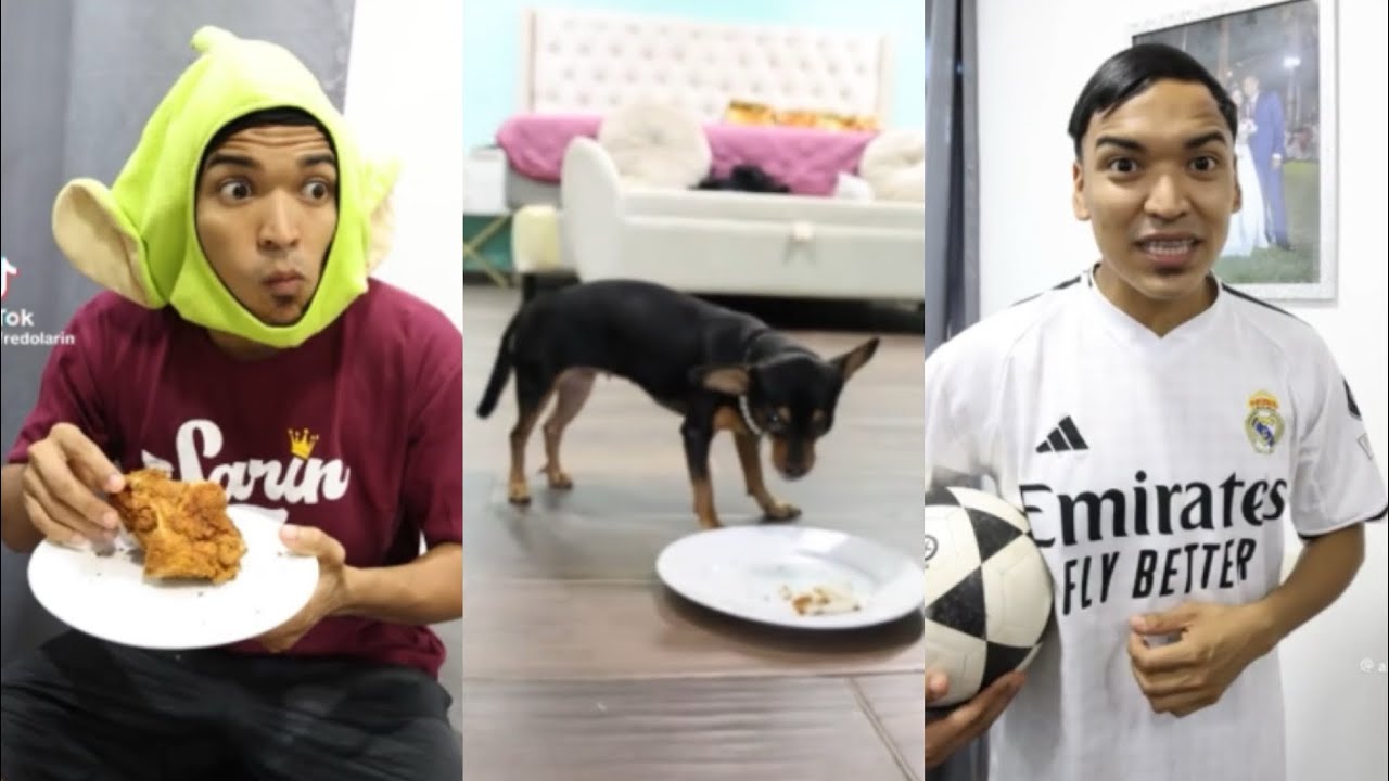 EL PERRITO SE COMIO EL POLLITO DE LARIN JR 😂 NUEVOS VIDEOS DIVERTIDOS ...