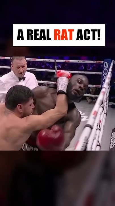 Sneaky Rat Was Punished! - YouTube