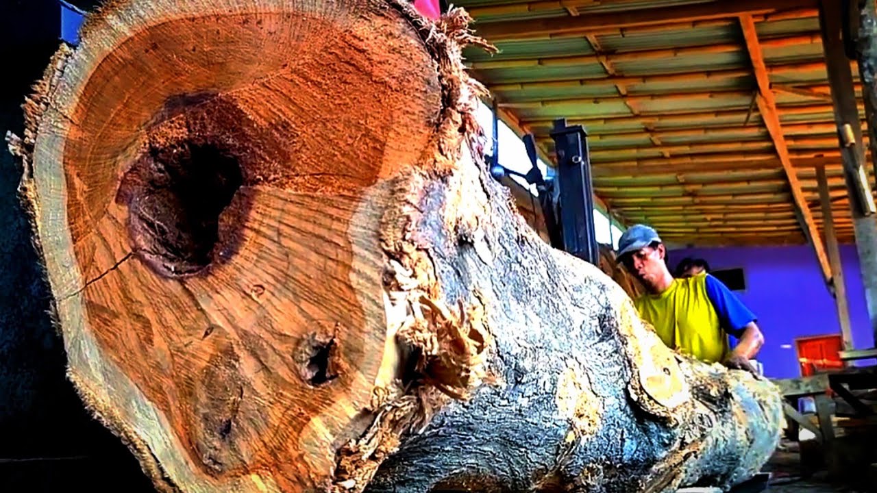 Incredible Teak Wood Cutting Skill || Fantastic Teak Wood Performance ...