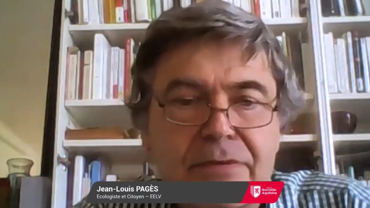 Jean Louis Pagès Séance plénière du 29 mai 2020 Sur le spectacle vivant ...
