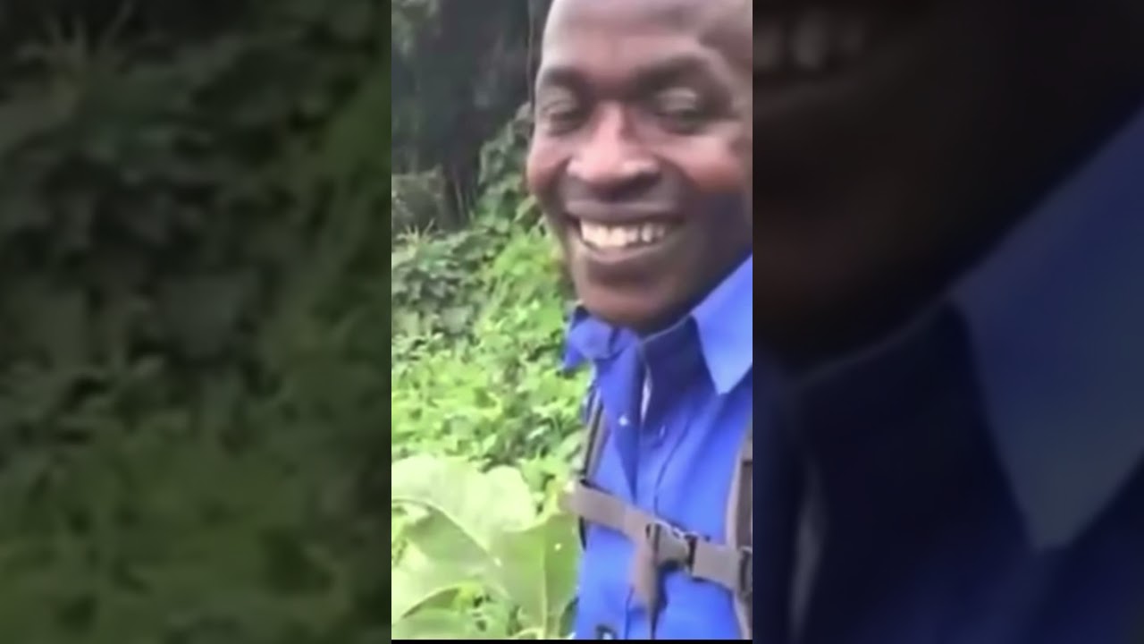 Hi ok meme | Tube Memes - YouTube