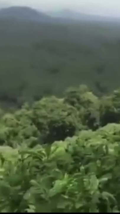 Hi ok meme | Tube Memes - YouTube