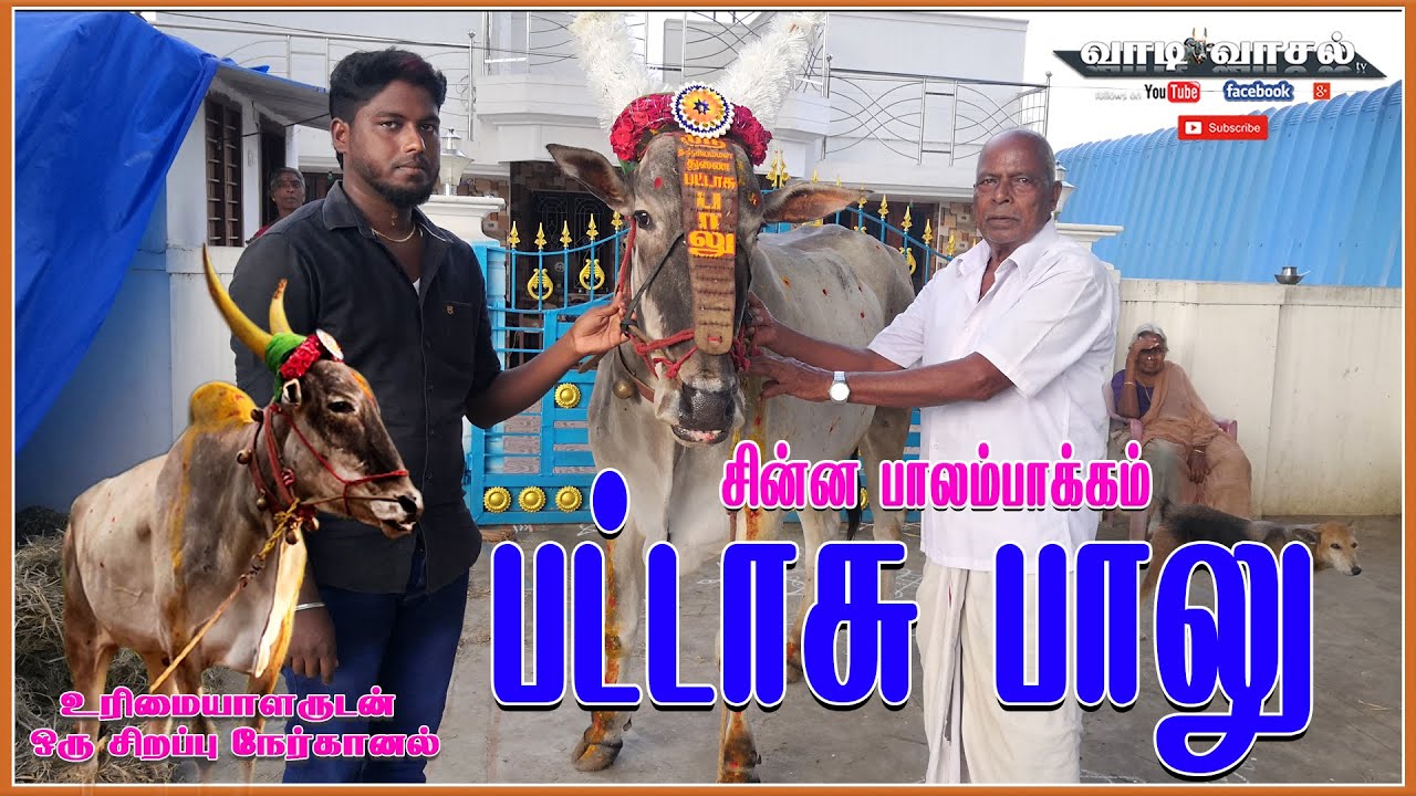 Palampakkam pattasu balu owner Exclusive and Special Interview ...