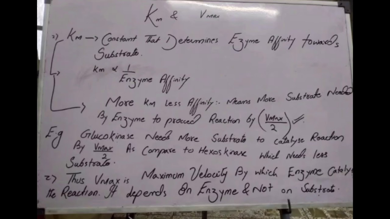 relationship-of-km-and-vmax-and-factors-affecting-enzyme-action-youtube
