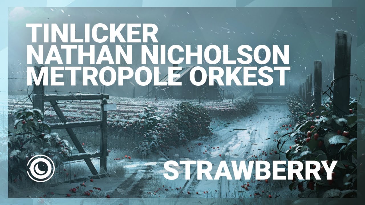 Tinlicker, Nathan Nicholson & Metropole Orkest - Strawberry - YouTube