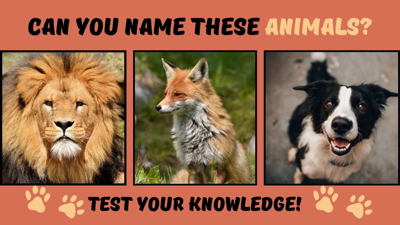Guess the Animal Name! How Much Knowledge Do You Have About Animals ...