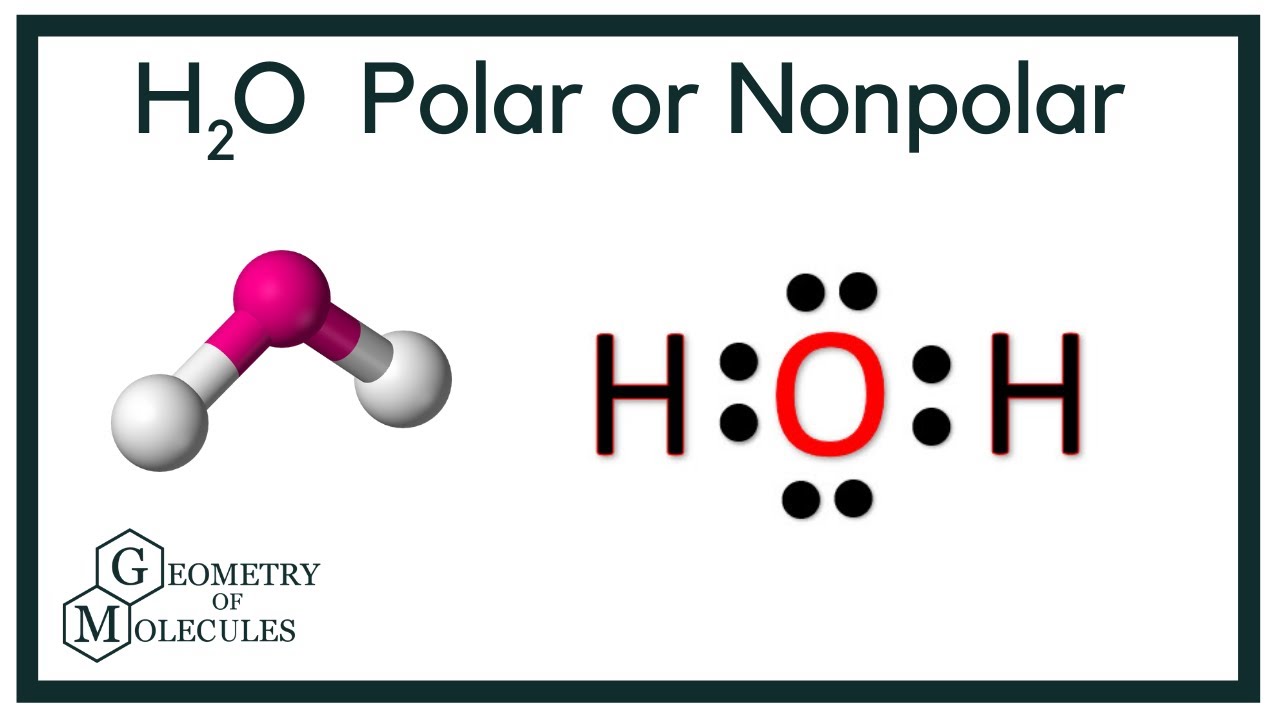 H2o Polar Or Nonpolar Polar Covalent Bonds Clearly Explained For