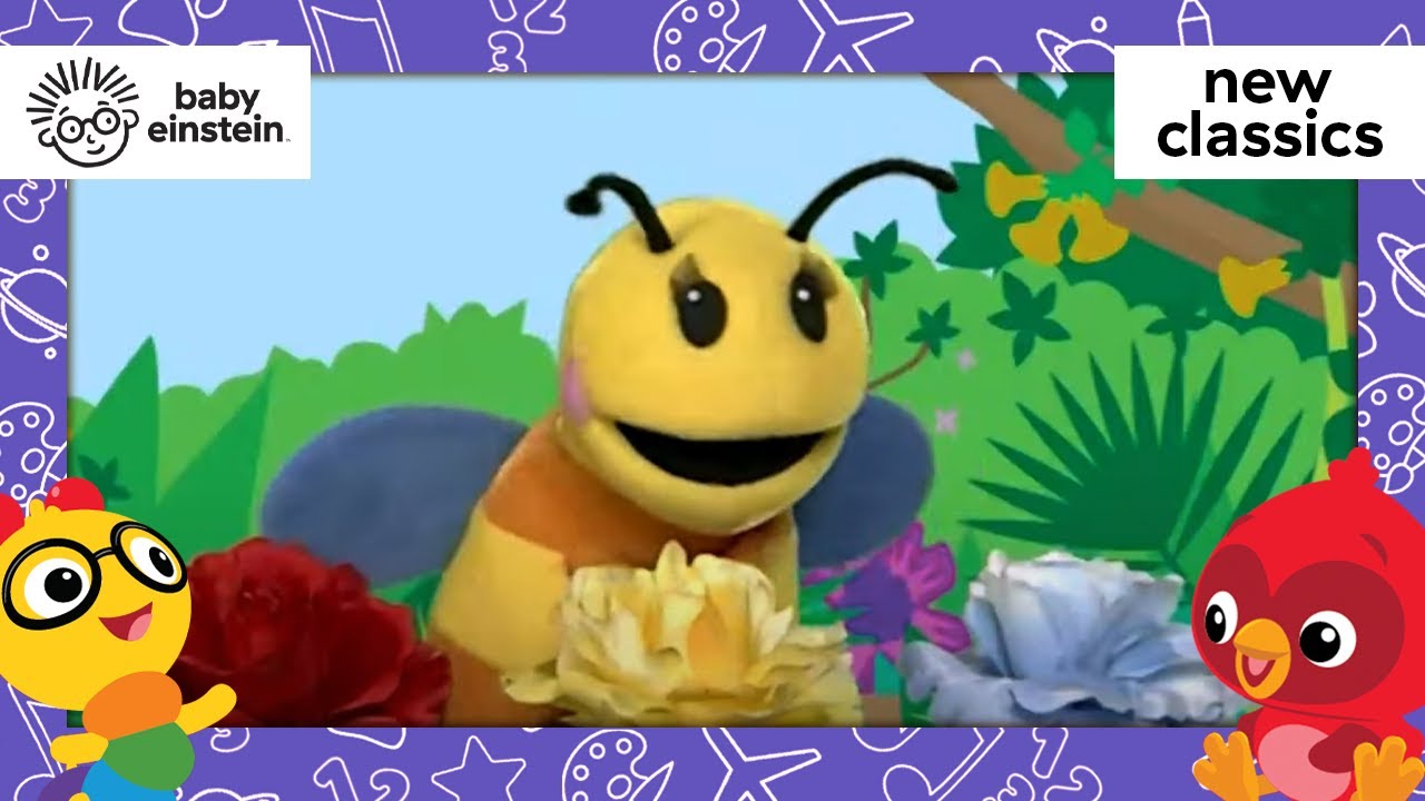 My First Signs - Let's Go to Town | New Classics | Baby Einstein | Toddlers Learning | Kids ...