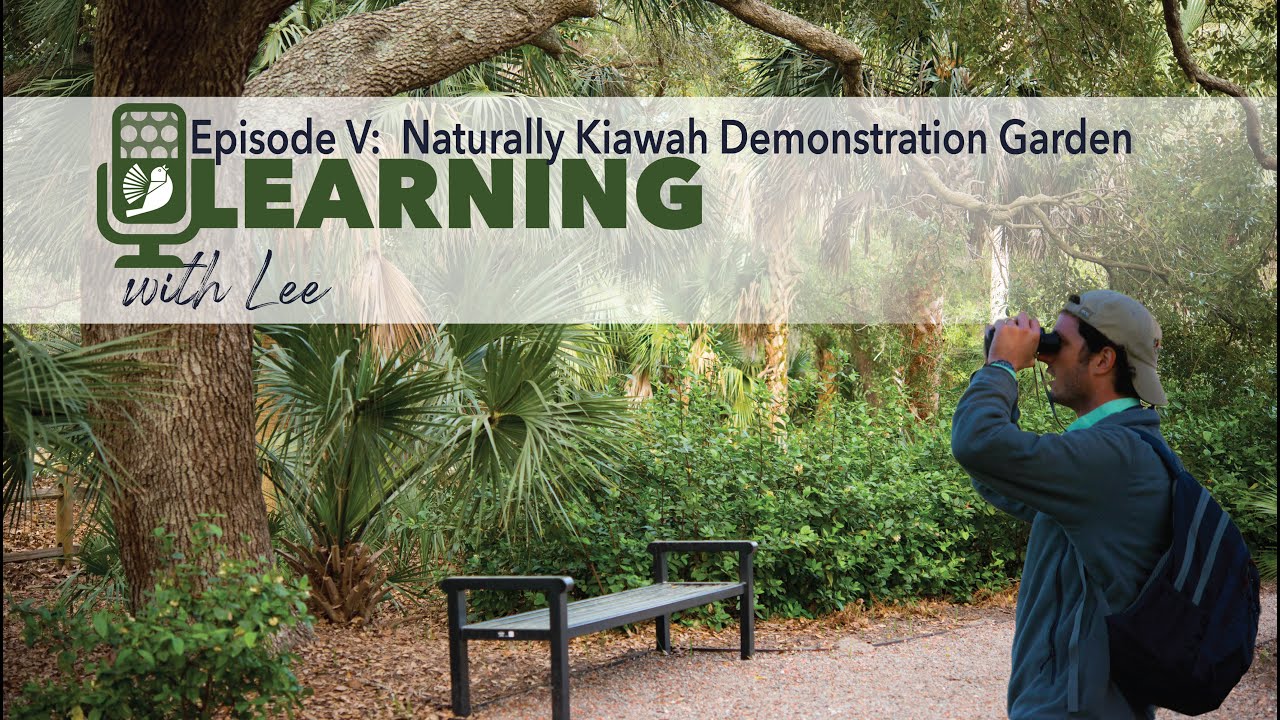 Learning with Lee: Episode V - Naturally Kiawah Demonstration Garden ...