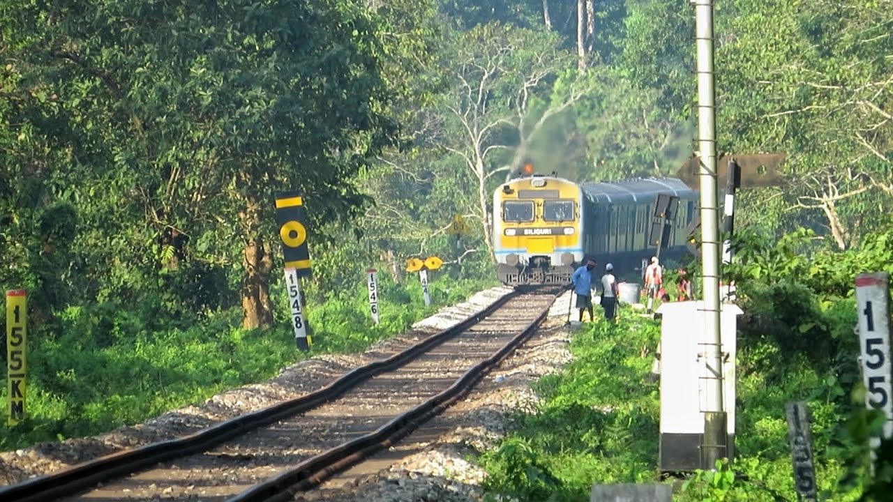 BEAUTIFUL DEMU TRAIN PASSING THROUGH BUXA FOREST - Siliguri-Dhubri DEMU ...