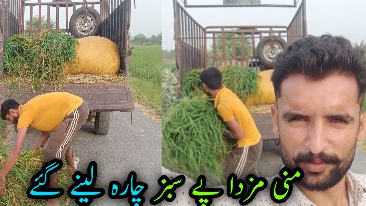 Mini Mazda Pe Sabz Chara lenay Gy | TM Pendu - YouTube
