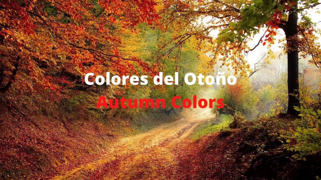Espectaculares colores del Otoño. Regalo visual para los ojos y la ...