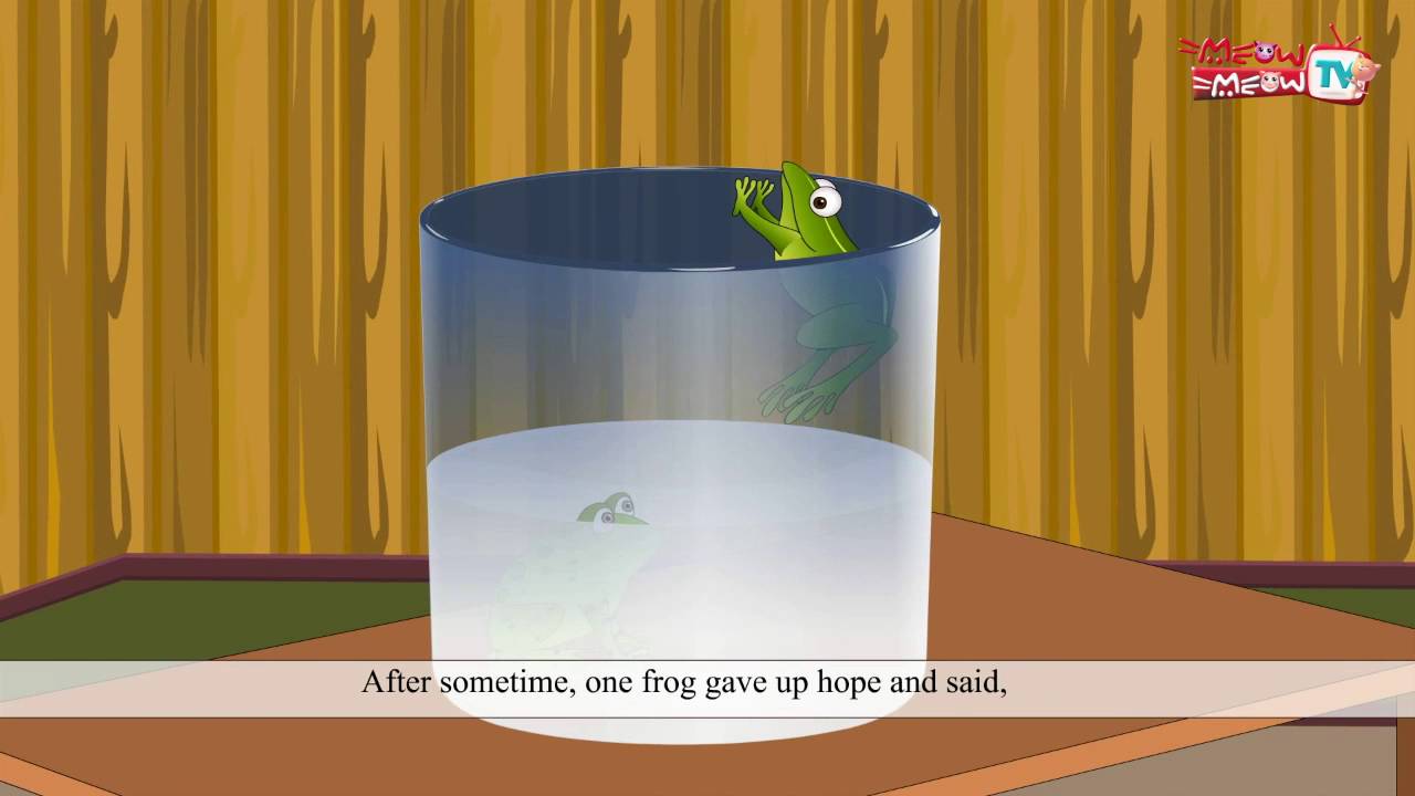 The Two Frogs - Meow Meow TV - YouTube