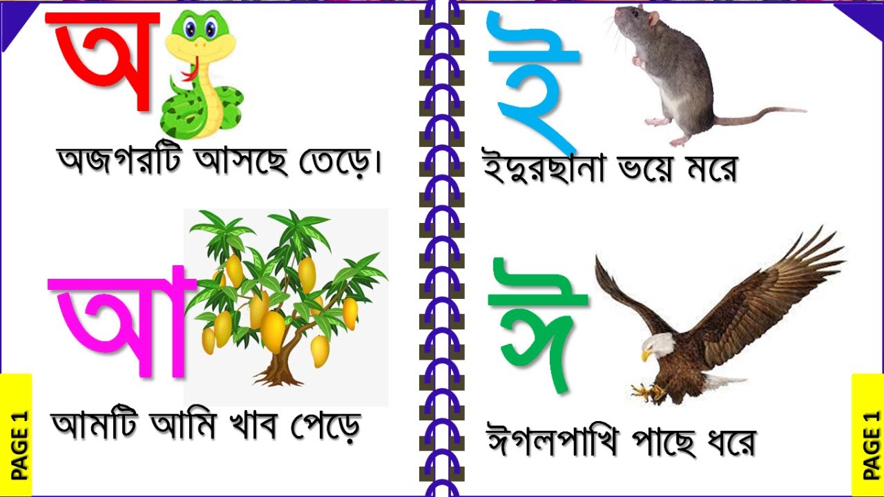 Bangla Bornomala | বাংলা বর্ণমালা । ব্যঞ্জনবর্ণ | স্বরবর্ণ | Varnamala ...