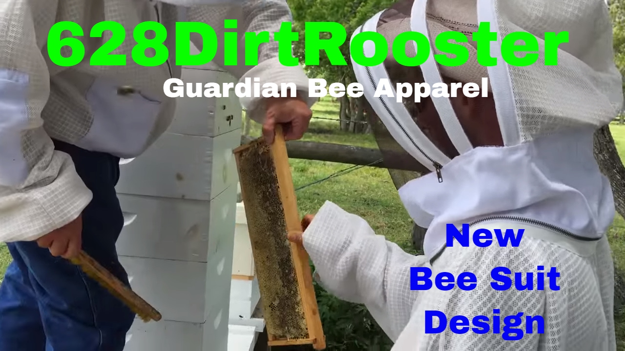 Harvesting Honey Frames For Cut Comb in The Newly Patented Guardian Bee ...