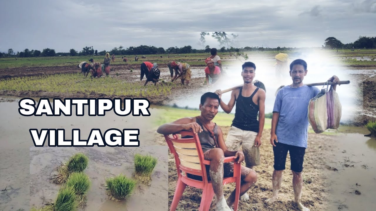Santipur village of Boro Tribe in Assam || Northeast in India || MK ...