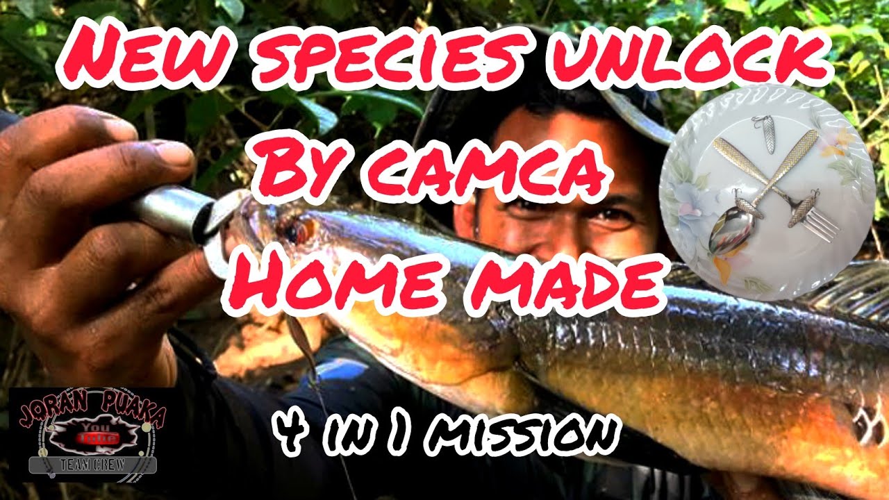 king of snakehead ikan idaman caster malaysia/ camca kilau pahlawan ...