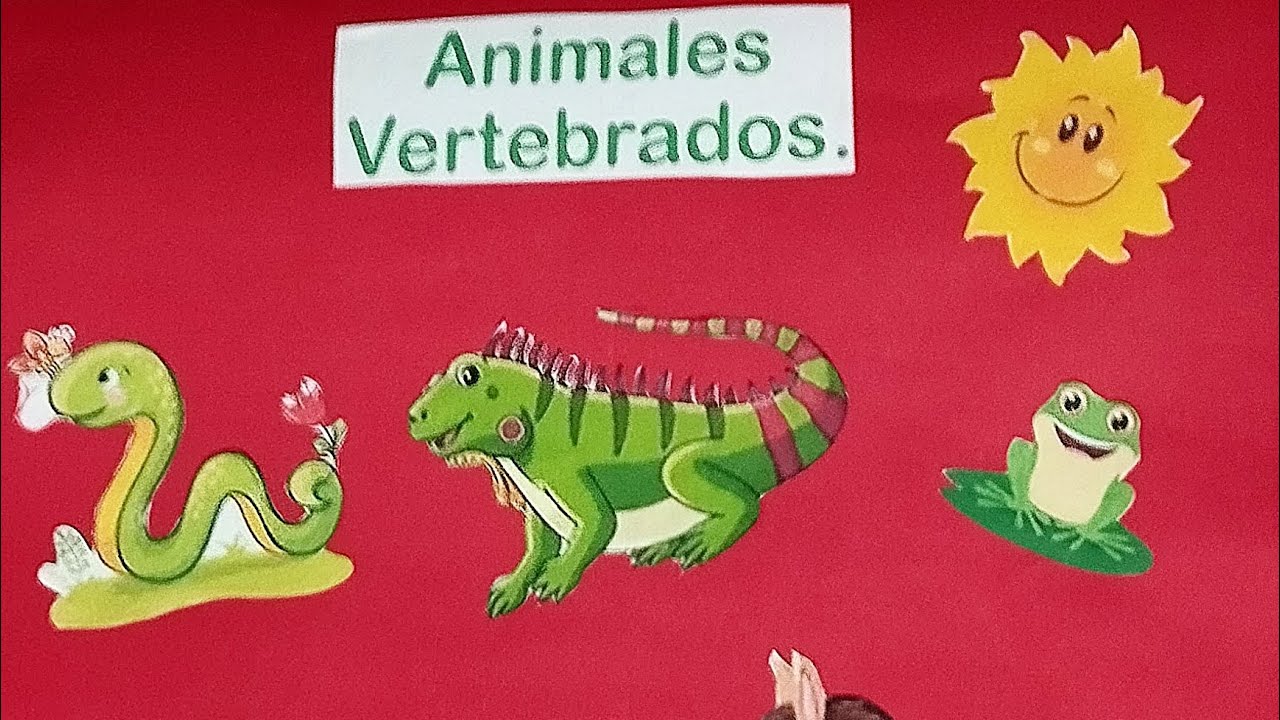 LINDA LAMINA PARA EXPOSICION DE LOS ANIMALES/ LAMINA PARA EXPONER NIÑOS ...