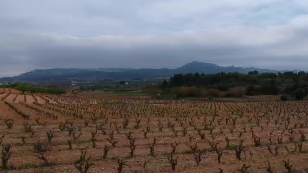 Bodegas Aessir - YouTube