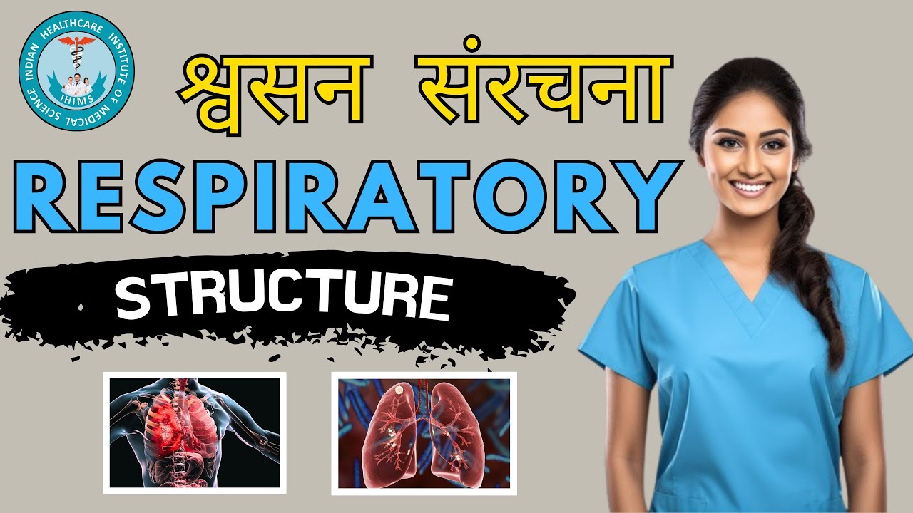 Structure involves in Respiration |An In-Depth Journey into Respiratory ...