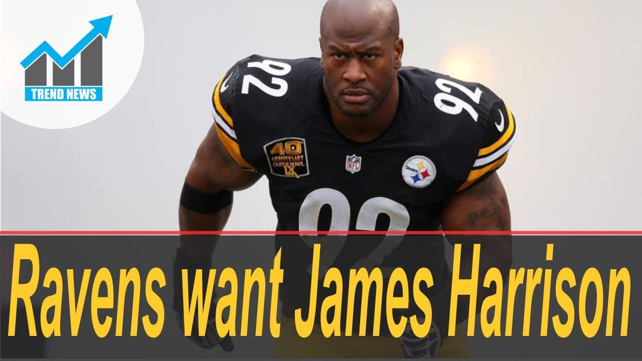 New England Patriots, Baltimore Ravens want James Harrison - YouTube