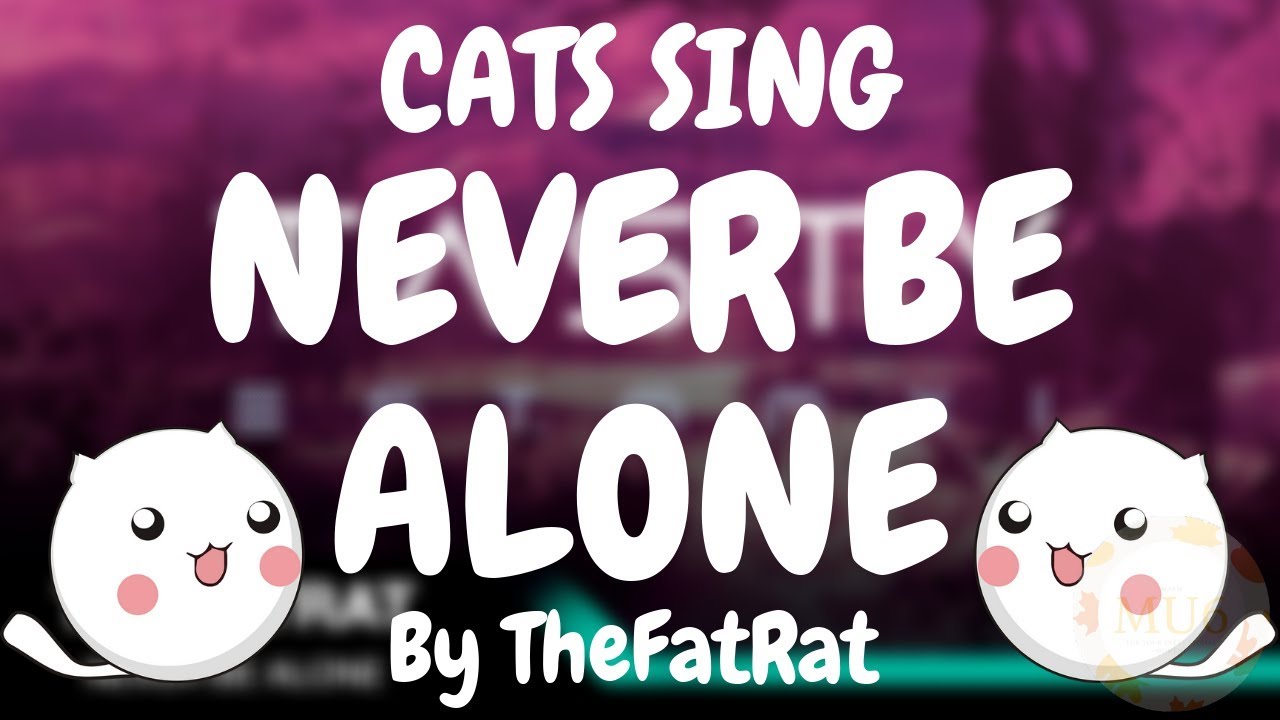 Cats Sing Never Be Alone by TheFatRat | Cats Singing Song - YouTube
