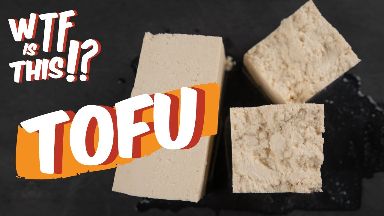 Tofu and its Many Friends! | WTF is this!? ep.8 - YouTube