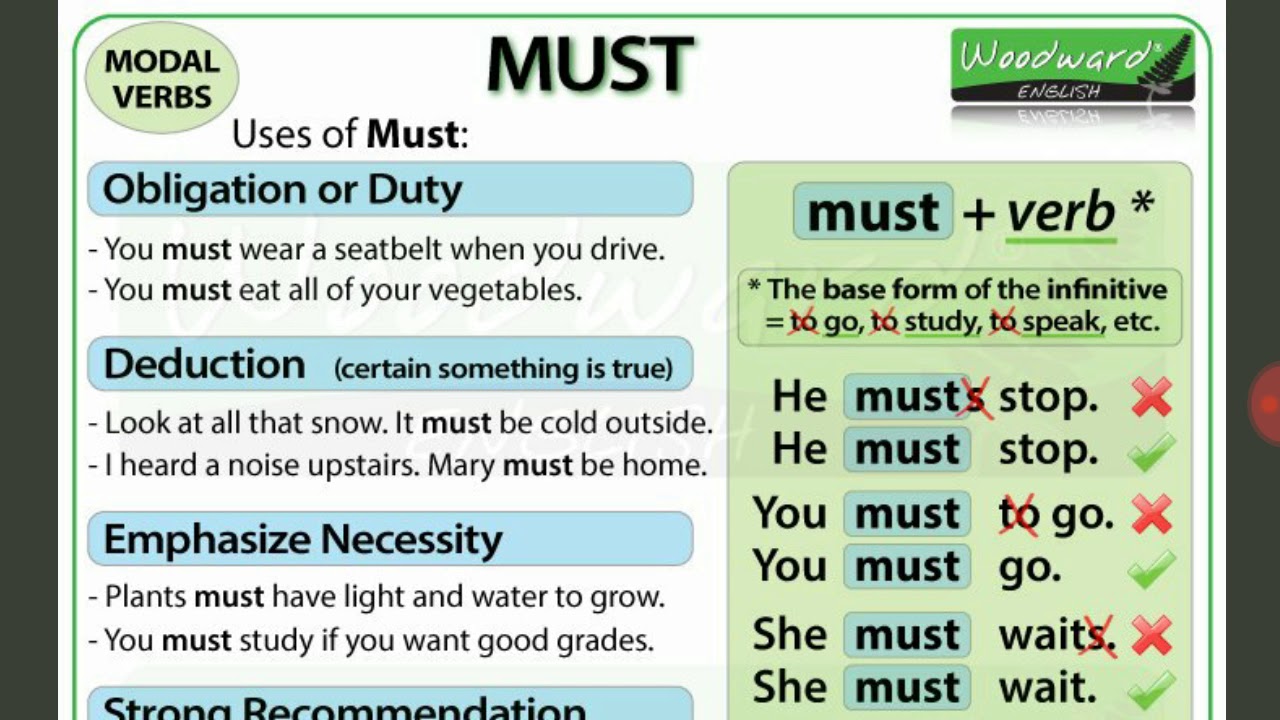 Verbo modal must - YouTube